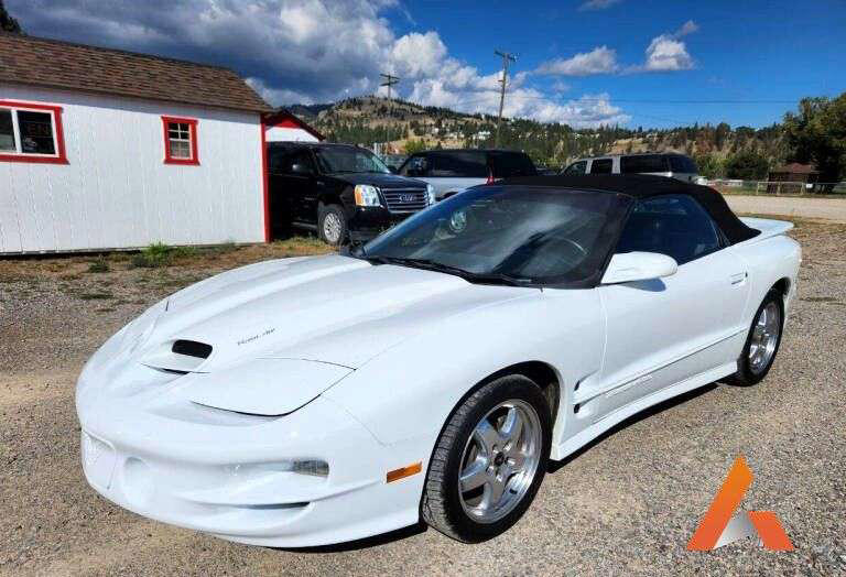 Two Pontiac Trans Ams Steal the Spotlight at Classic Car Auction Group ...