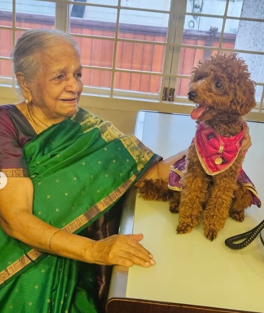 Yash, Allu Arjun, Trisha to Varun Tej: Here's how South Indian stars ...