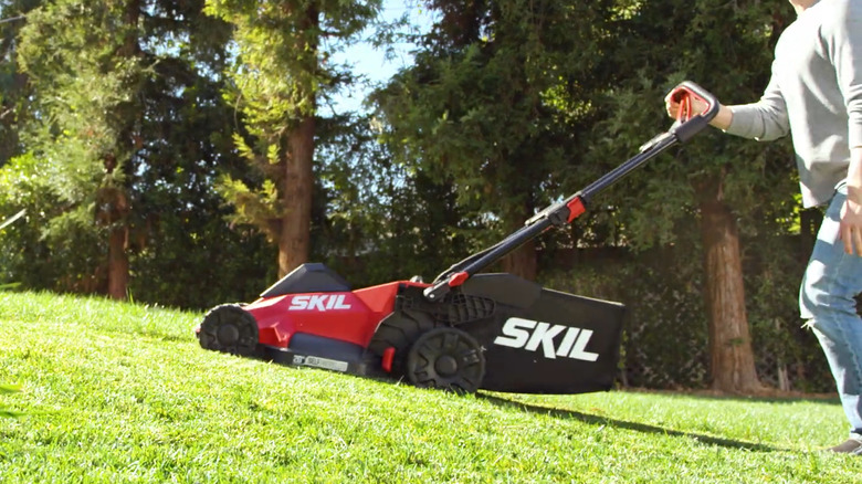 These Are The Best Cheap Lawn Mowers, According To Consumer Reports