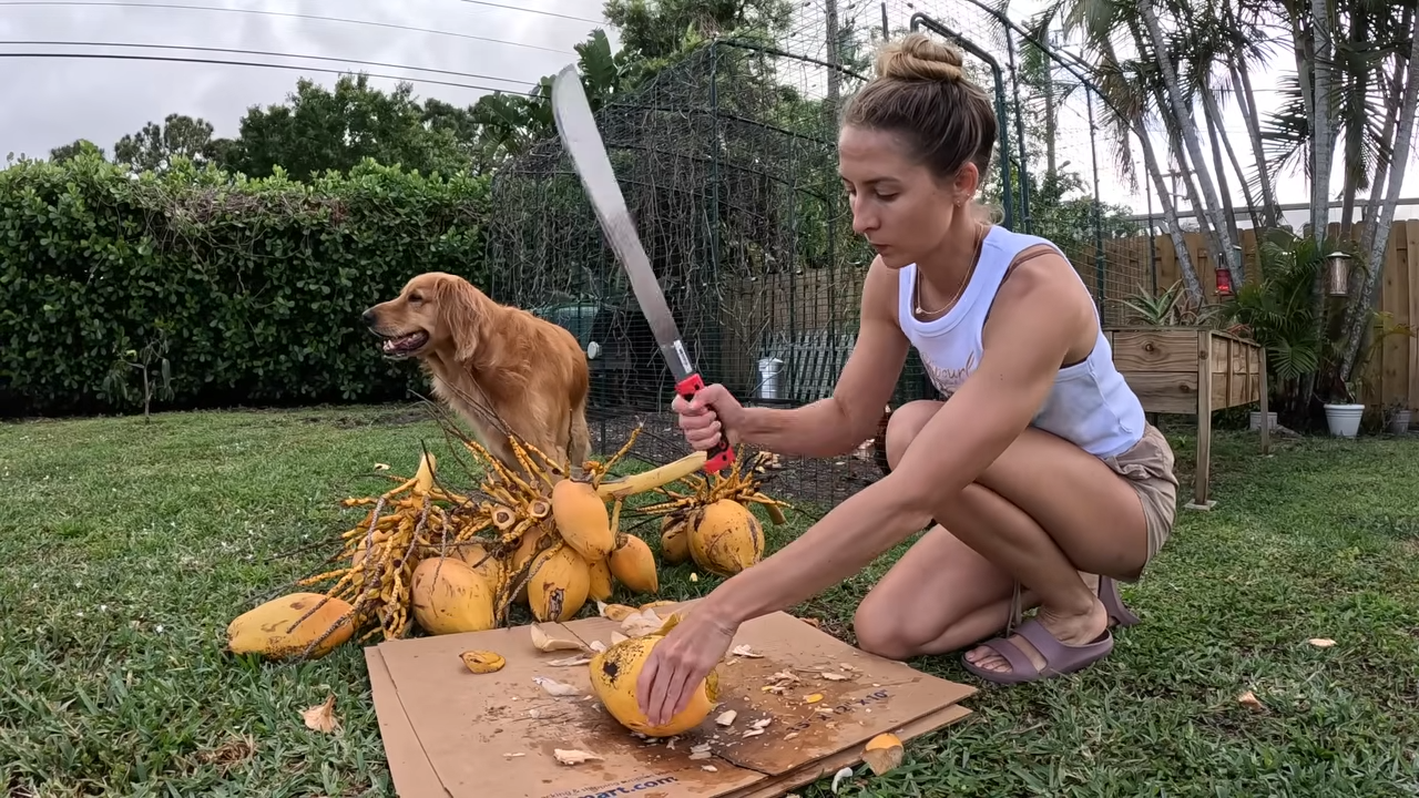 How One Young Woman Opened A King Coconut With A Machete