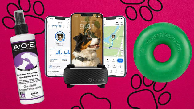 These vets are also pet owners – here are 11 products they can't live ...