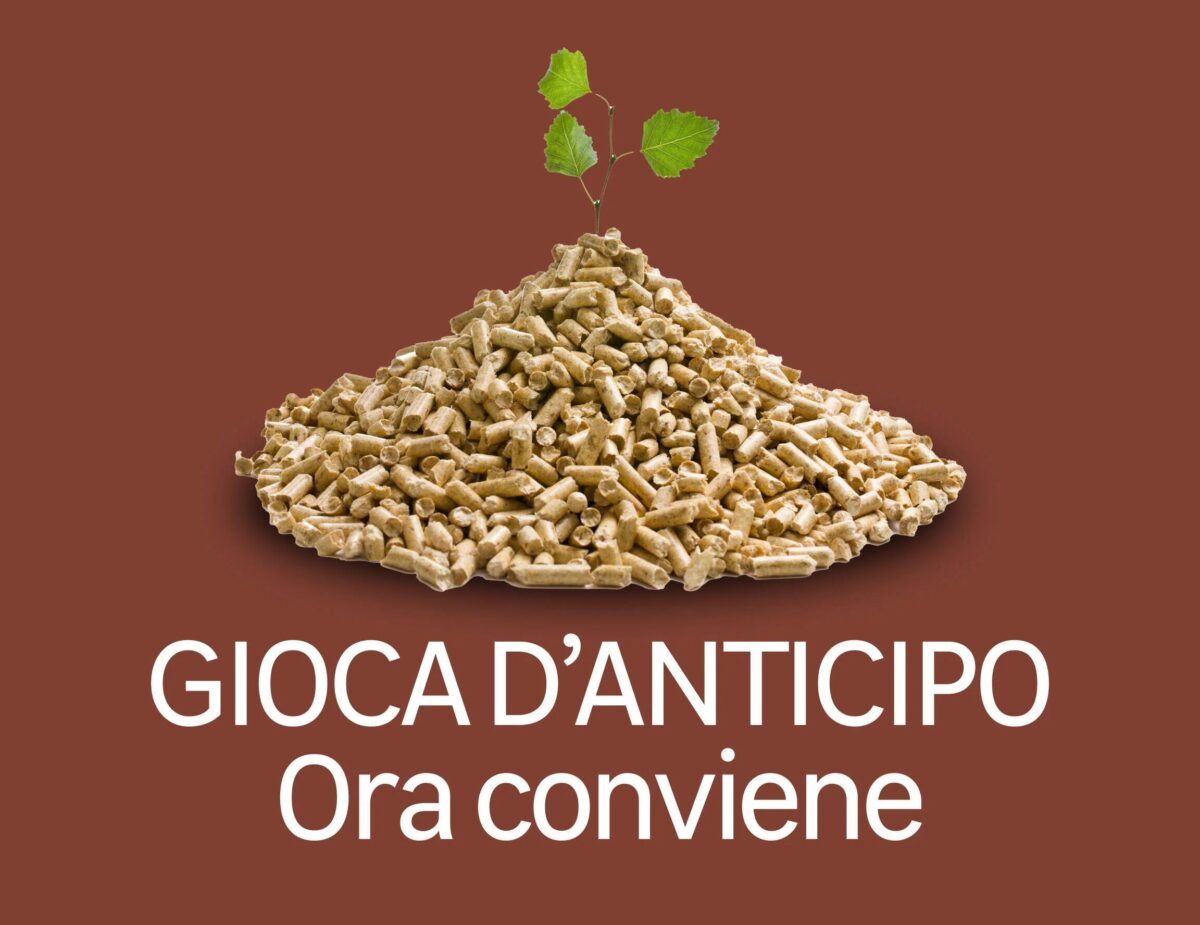 Video – Fai scorta di pellet Leroy Merlin: ora conviene!