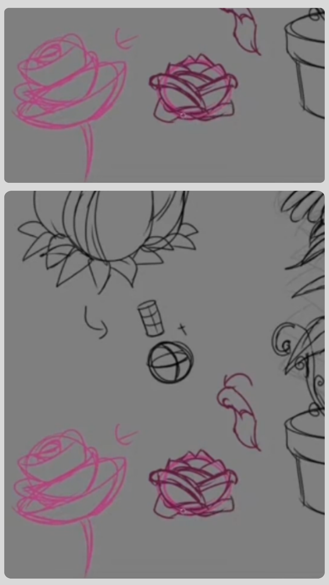 How to Draw a Realistic Rose – Understand Its 3D Structure