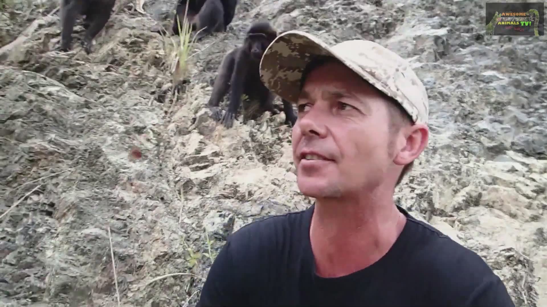 Crazy monkeys | black crested macaque monkey magic and funny animals ...