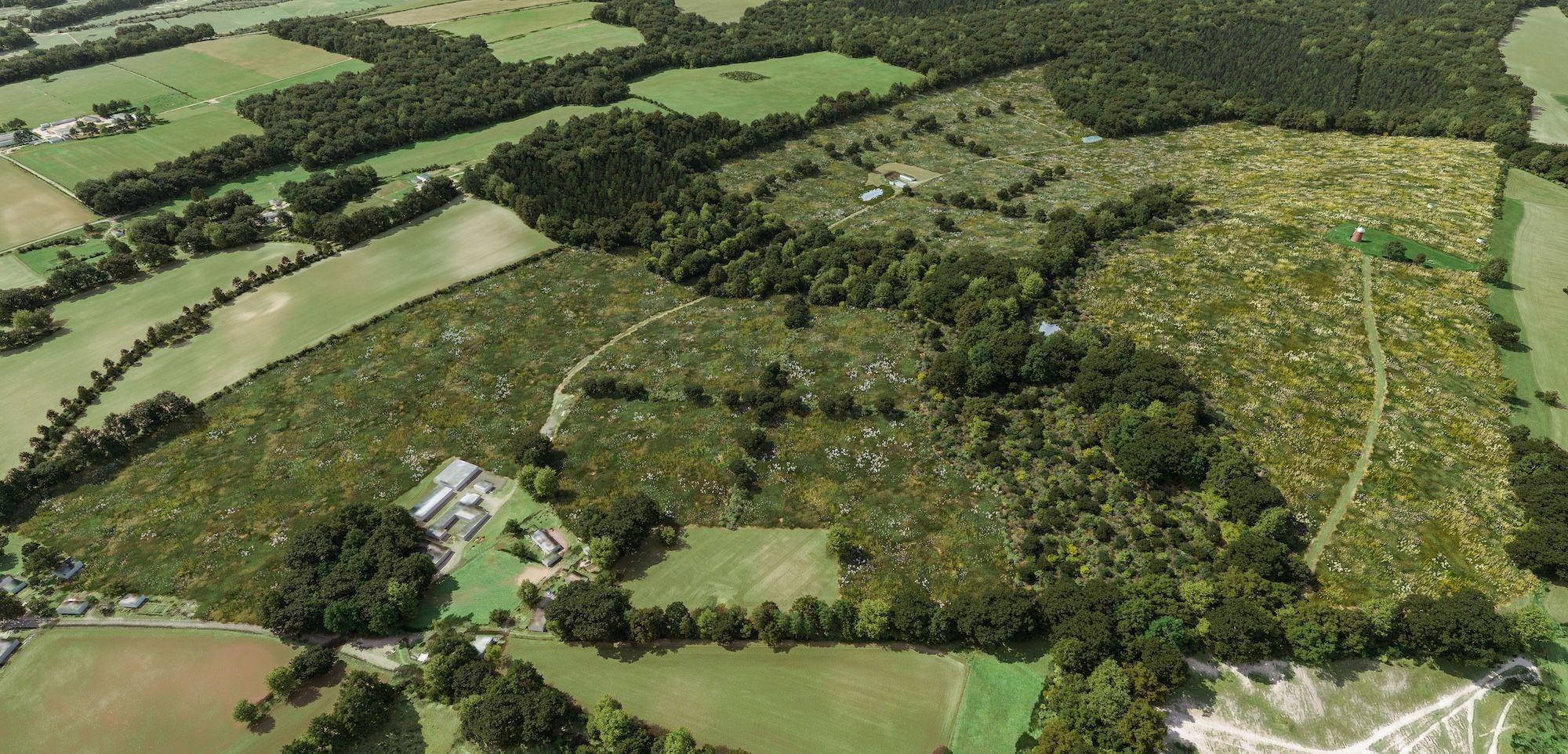 Halnaker Hill Natural Capital partners with Bidwells for one of the UK ...
