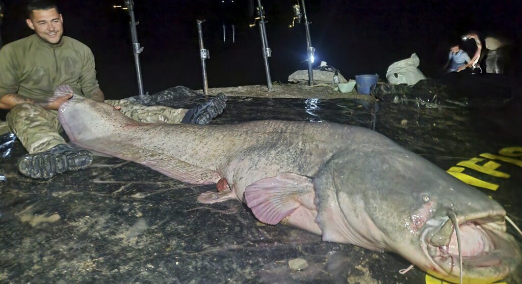 British tourists reel in record 258lb catfish in gruelling 30-minute battle