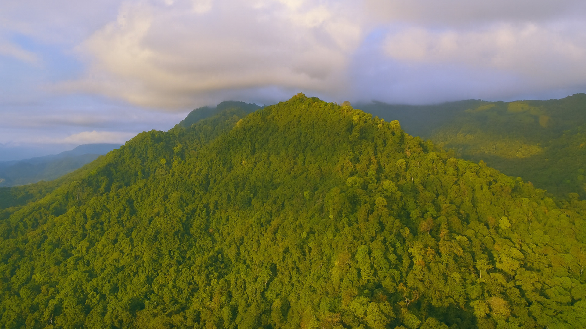 Tasmania – Hutan Pegunungan yang Asri dalam 4K