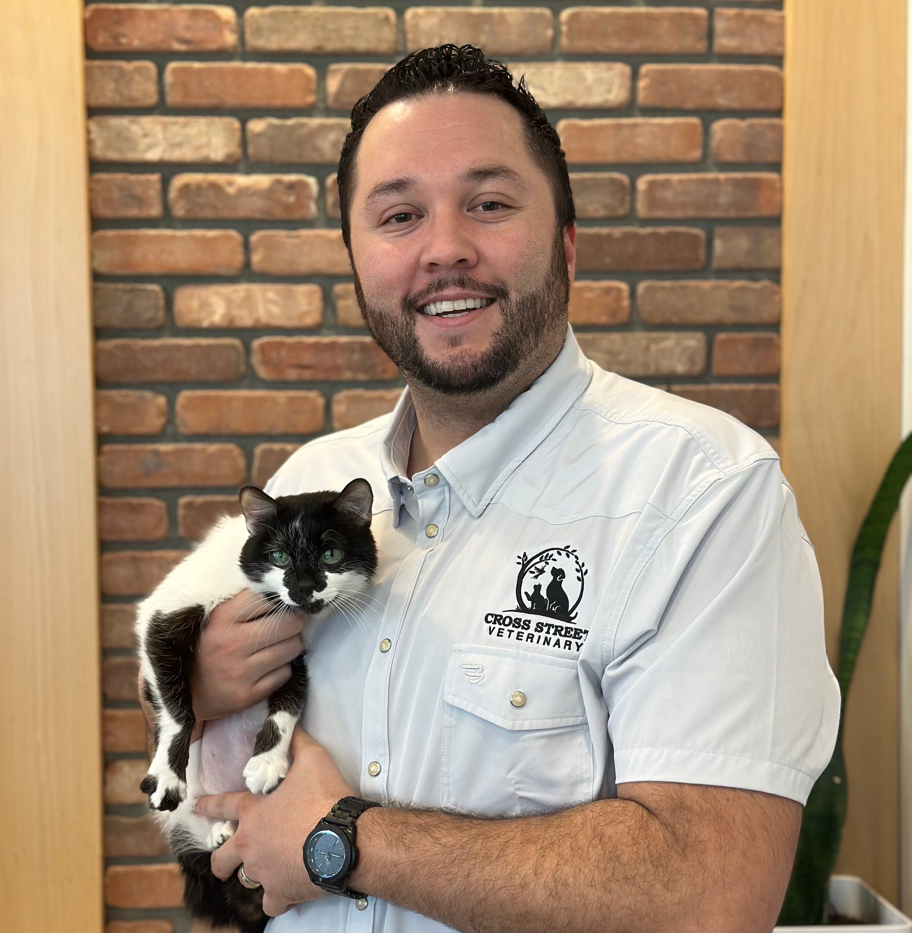 Tulare veterinarian discovers promising avian flu treatment for cats