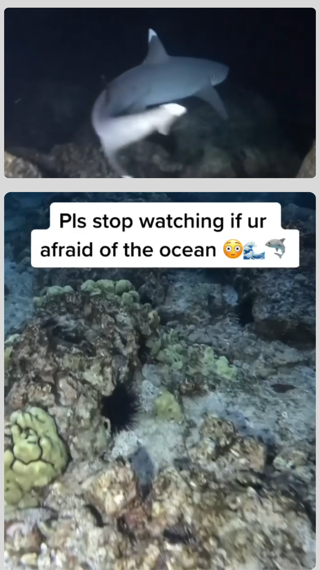 You’ve Been Warned – Terrifying Ocean Discovery Beneath the Waves
