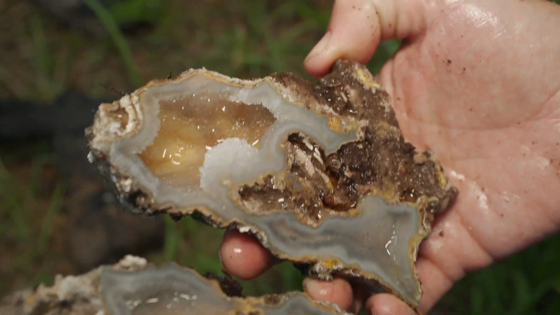 Why These Florida Geodes Are Packed With Hidden Crystals