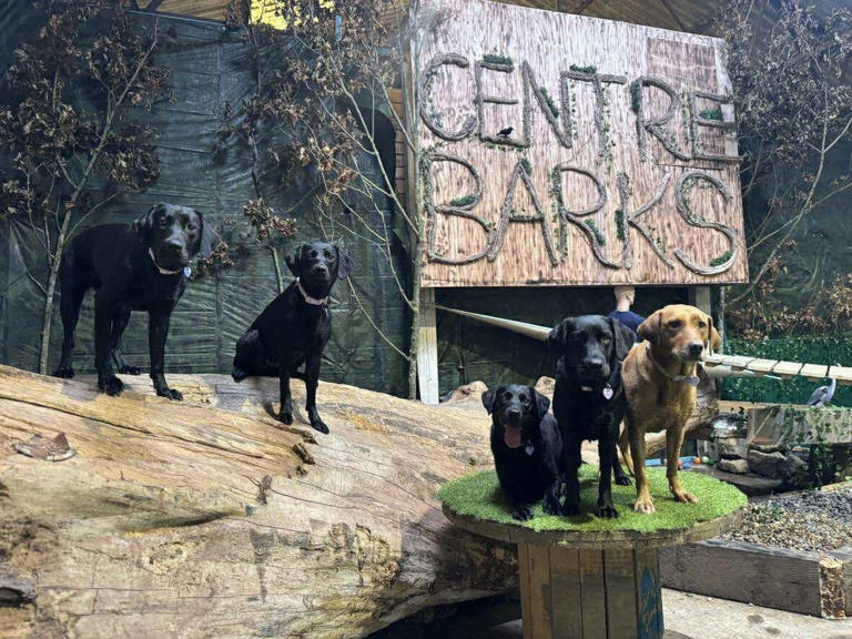 Revamped theme park for dogs opens in Doncaster - and the name is brilliant