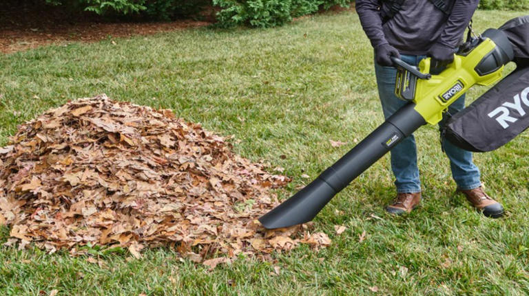 Common Problems With Ryobi Leaf Blowers (According To Users)