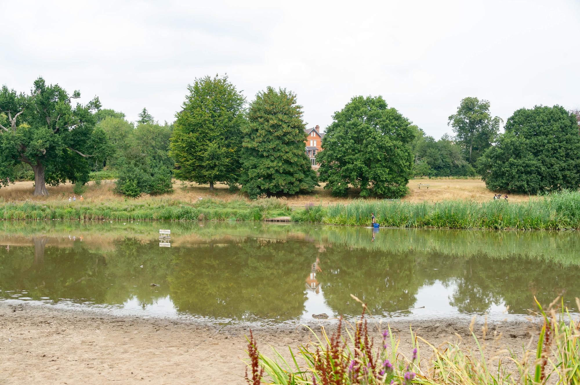 Plans for walking and cycling path through Abbey Fields in Kenilworth ...