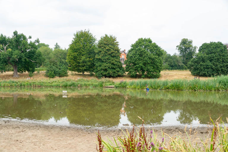 Plans for walking and cycling path through Abbey Fields in Kenilworth ...