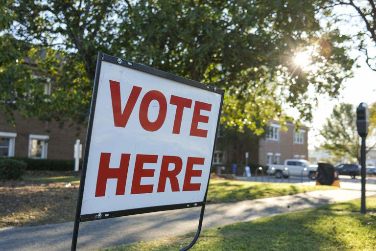 Where, when & how Myrtle Beach-area voters can cast a ballot this election