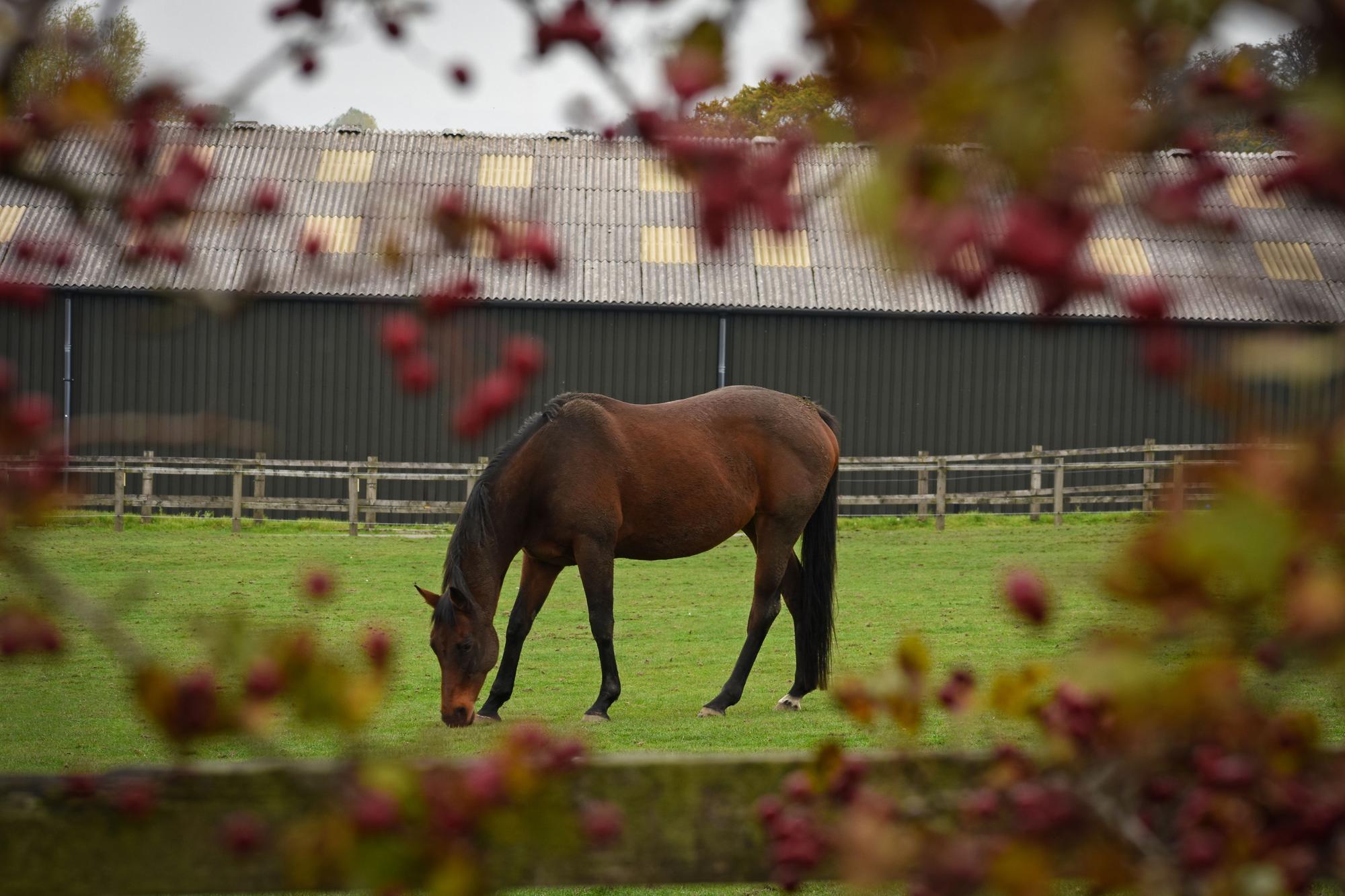 Spooktacular Fun Awaits This October Half Term at HAPPA!