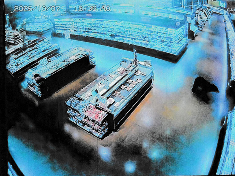 Japan battles surge of bear attacks in homes, schools and supermarkets