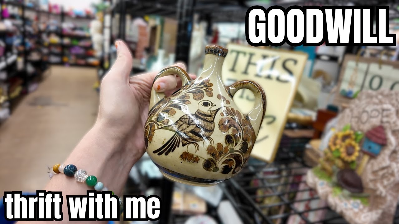 Thought I’d Jinxed Myself at This Goodwill | Thrift with Me