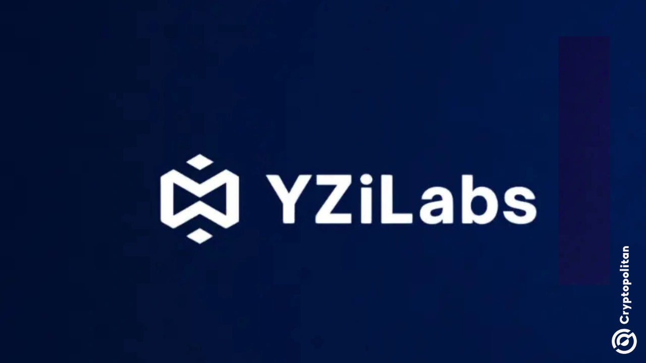 Sign surges 25% on $25.5M YziLabs-led round, eyes expansion in digital ...