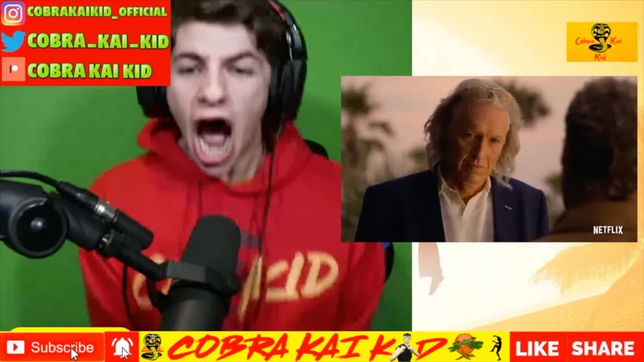 My reaction to the Cobra Kai season 4 official trailer (I lost my mind!)