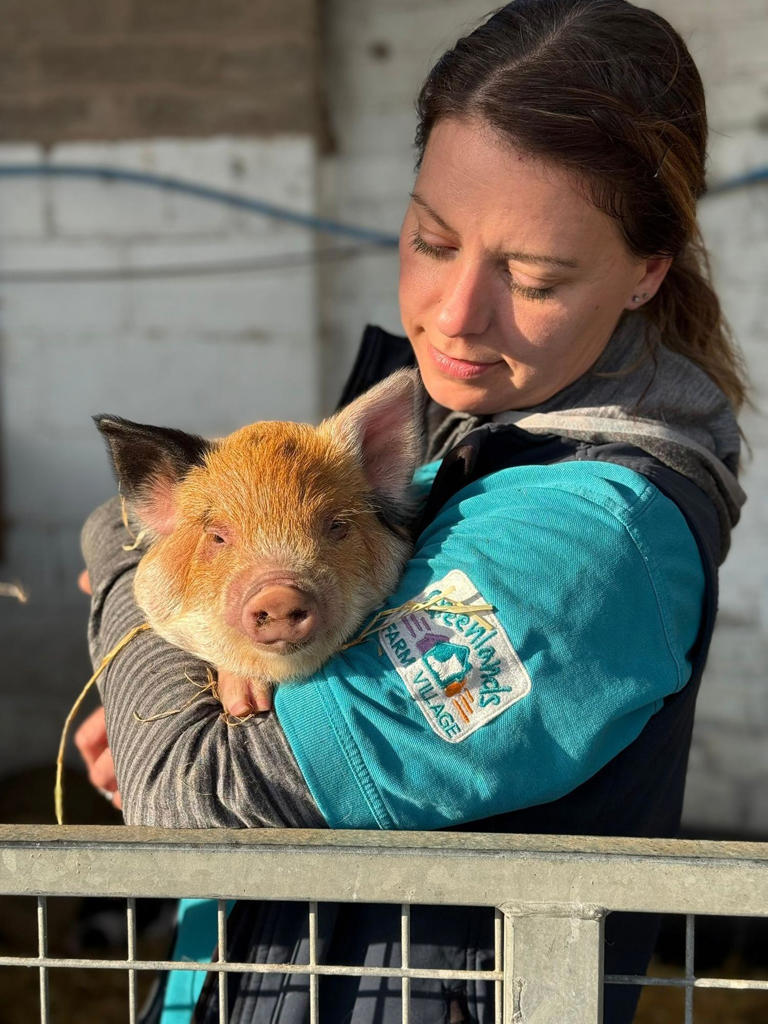 Pumpkin picking returns to Greenlands Farm Village for Halloween fun
