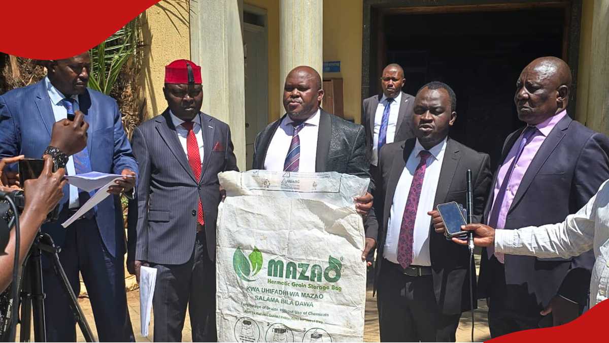 Machakos MCAs question county govt's purchase of empty sacks at KSh ...