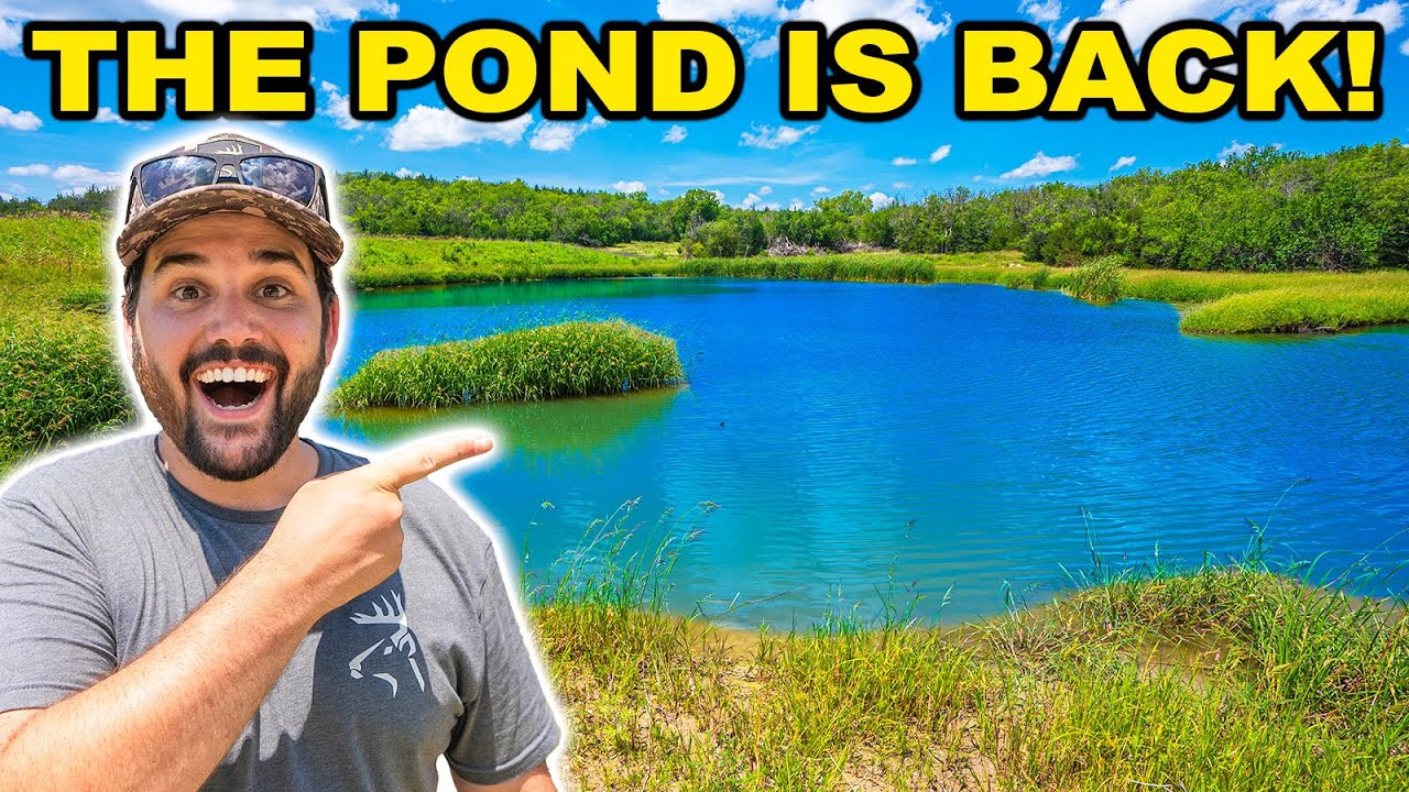 Should I go fishing today? Let’s find out!