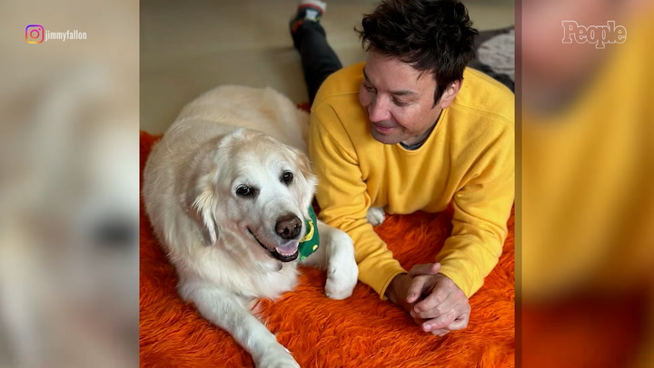 Jimmy Fallon Mourns the Death of His 'First Baby' in Emotional Post ...