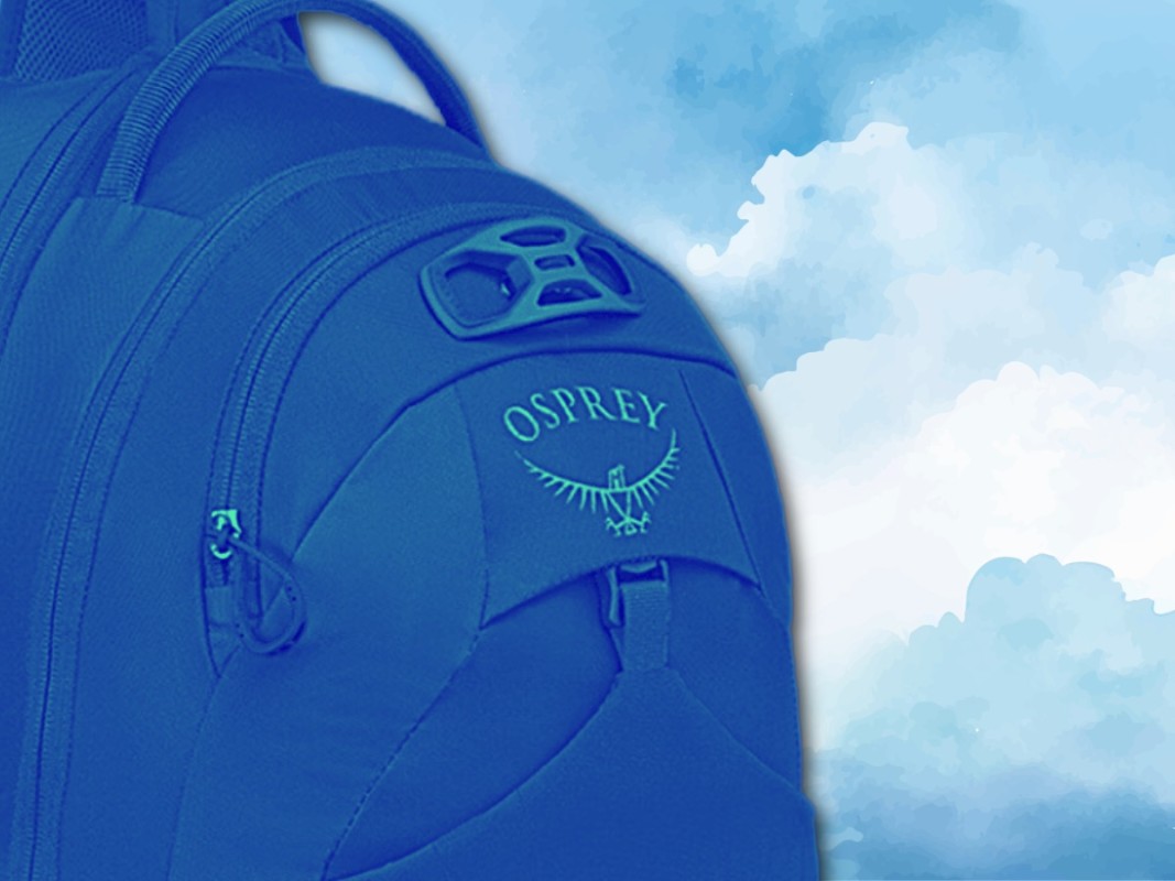 Osprey’s $165 Backpack Is Now Just $75 — 'Lives up to All the Hype'