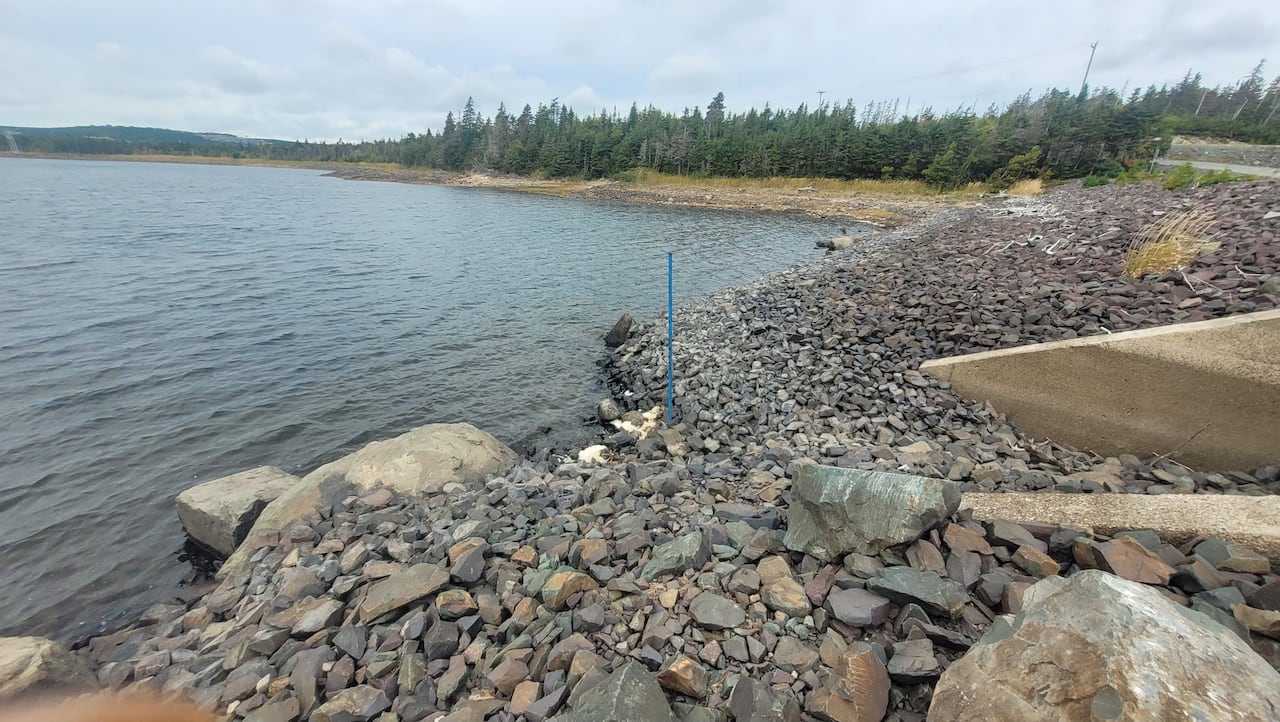 Torbay can turn off water as ‘last resort’ to residents not respecting ...