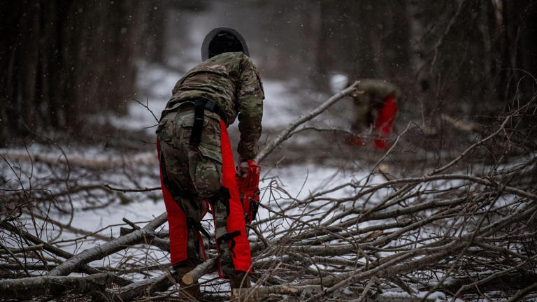Michigan's devastating ice storm impacts continue to ripple, including ...