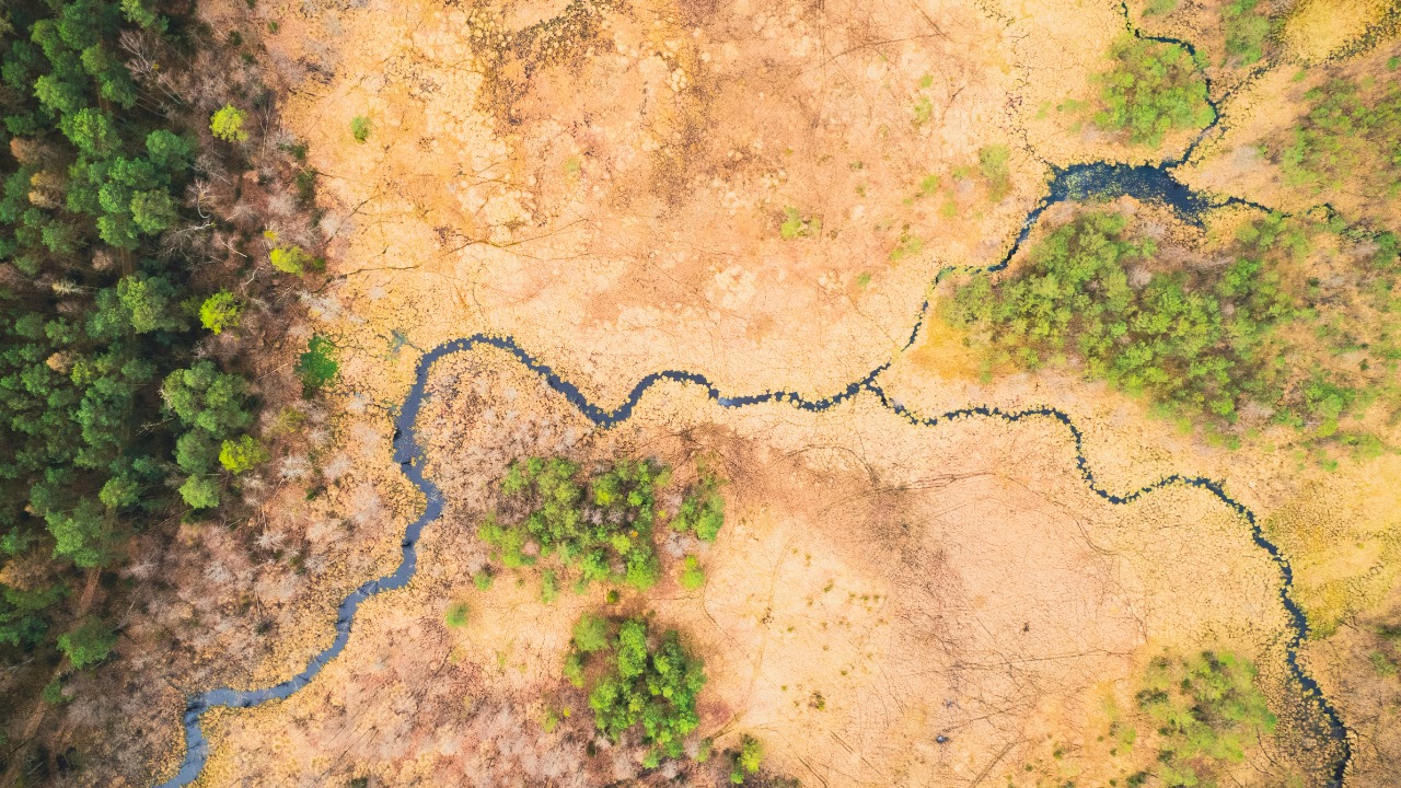 AI maps global land shifts in real time