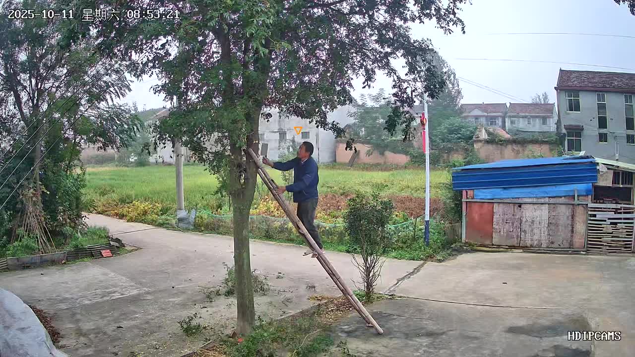 Man falls with ladder while cutting tree branch in Jiangsu, China