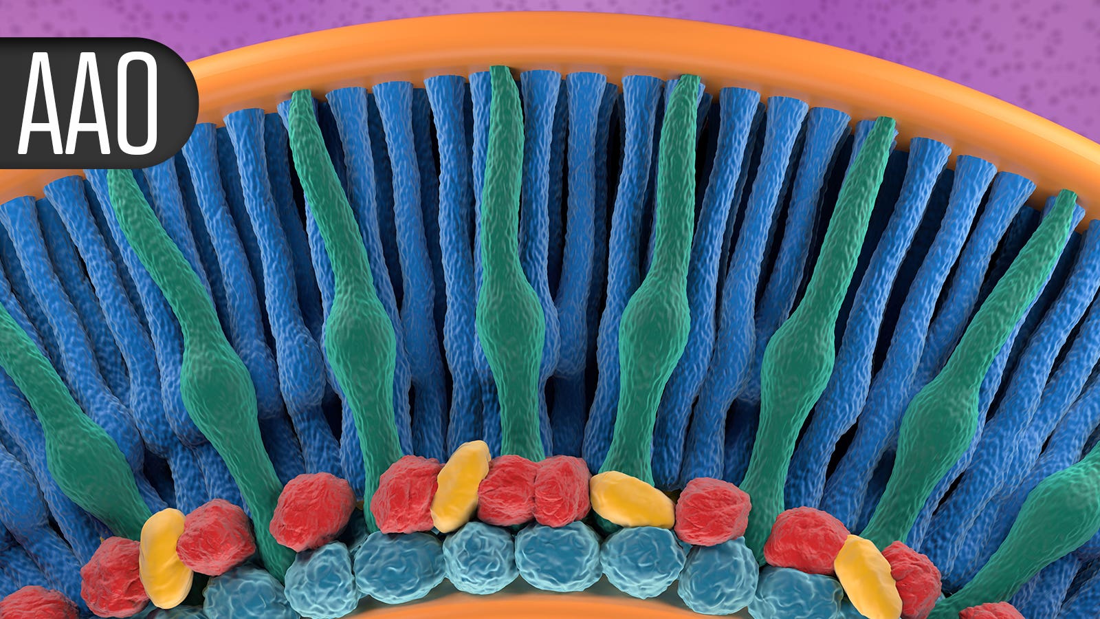 Retinal Implant-Eyeglasses Combination Improved Vision in Geographic ...