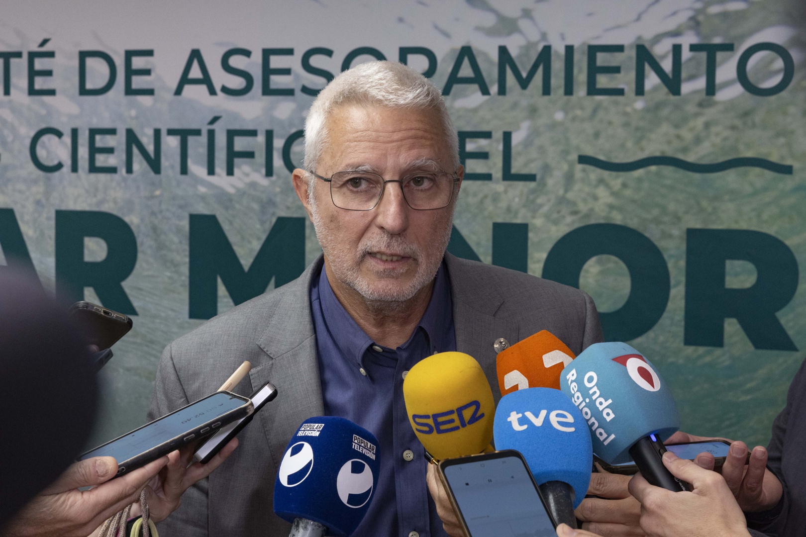 La fauna del Mar Menor salva de momento la situación crítica de oxígeno ...