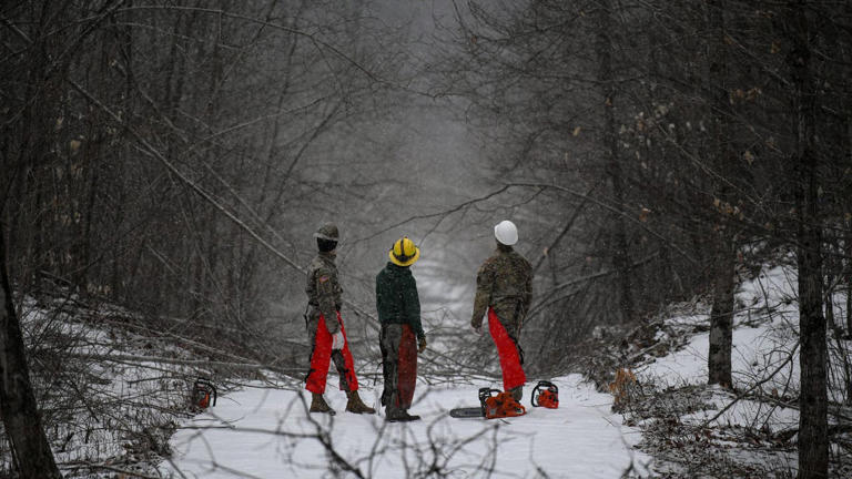 Michigan's devastating ice storm impacts continue to ripple, including ...