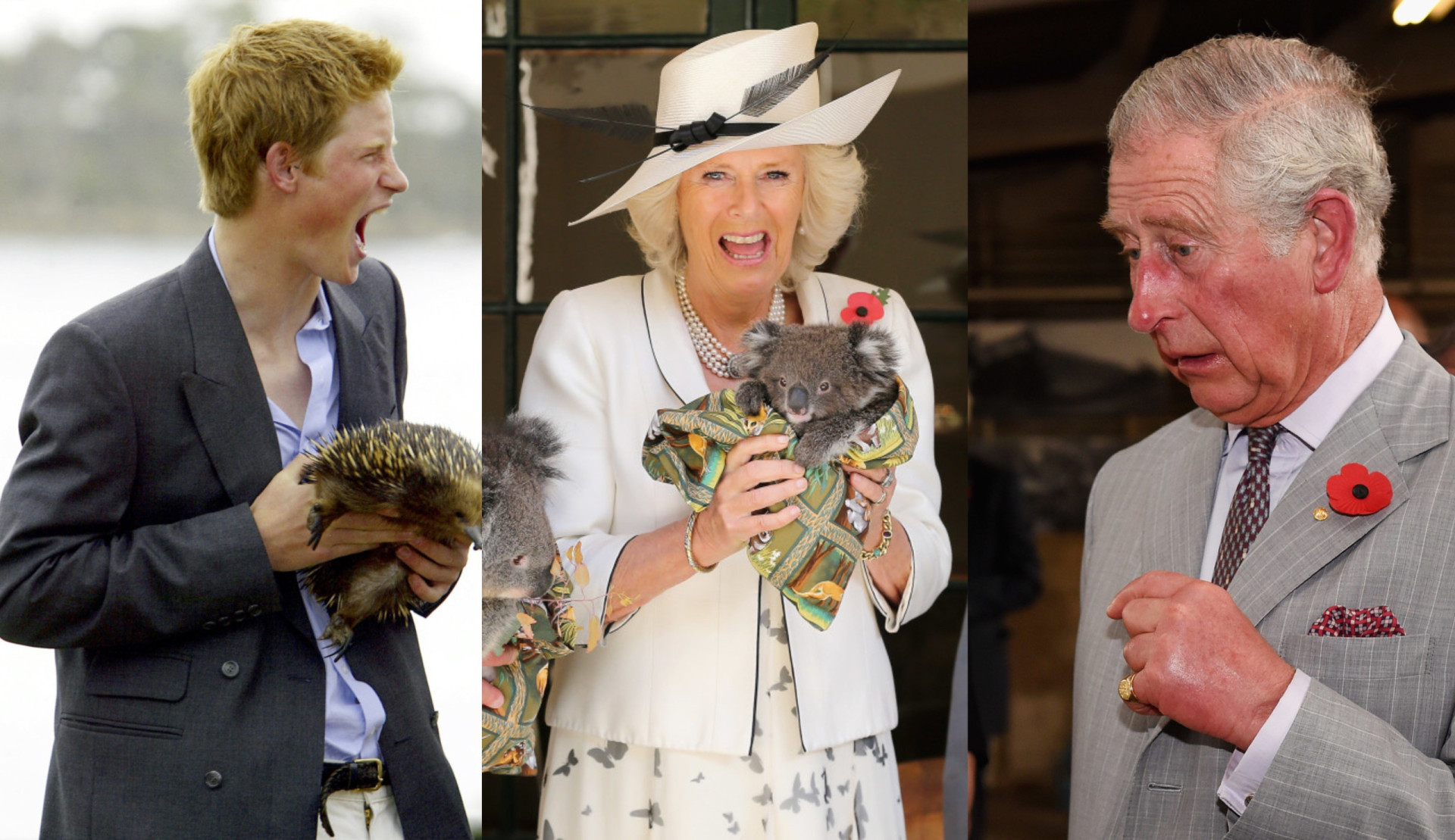 Prank calls, and other hilarious royal moments