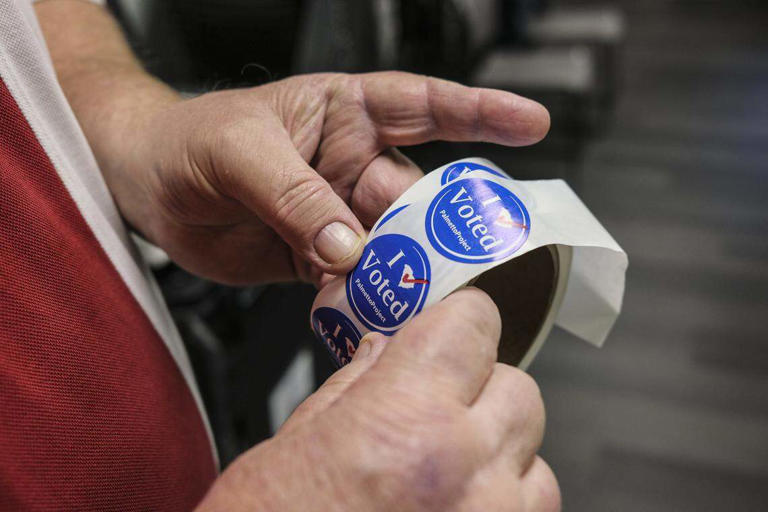 Where, when & how Myrtle Beach-area voters can cast a ballot this election