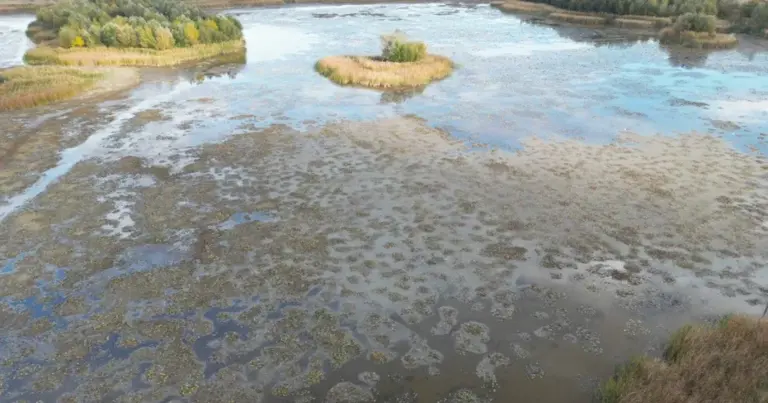 Ötven éve nem volt ilyen kevés víz a Kolon-tóban, ami rámutat a ...