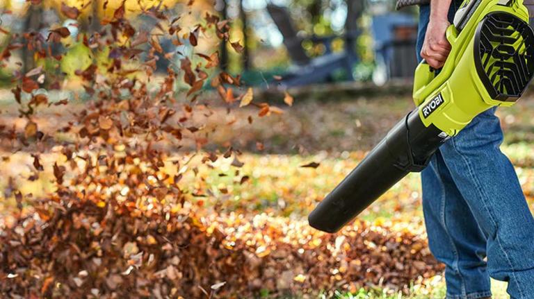 Common Problems With Ryobi Leaf Blowers (According To Users)