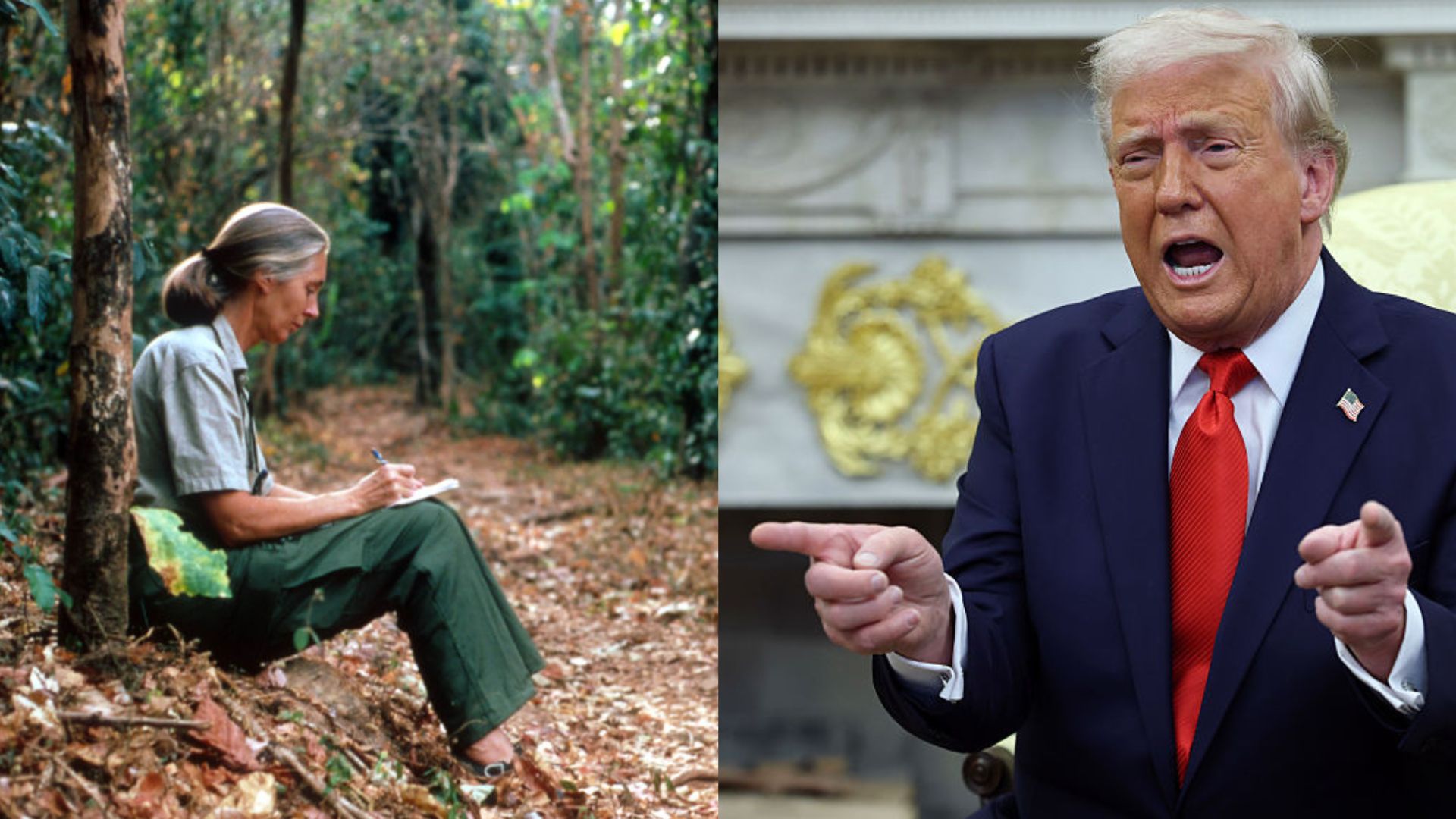 Jane Goodall’s last words were for Trump, Putin and Netanyahu