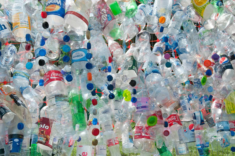 What are the new bin collection rules coming into force in 2026?