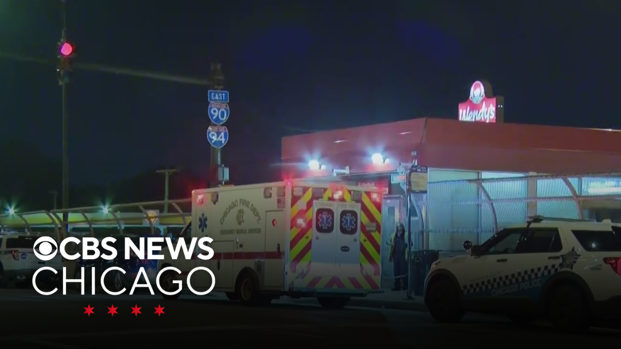Man robbed, attacked on CTA Red Line train on South Side