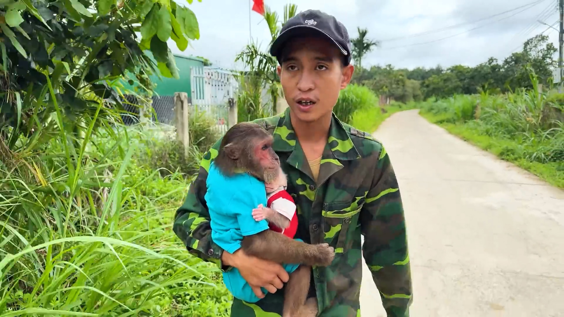 Cutis Comforts Baby Monkey Missing Mom