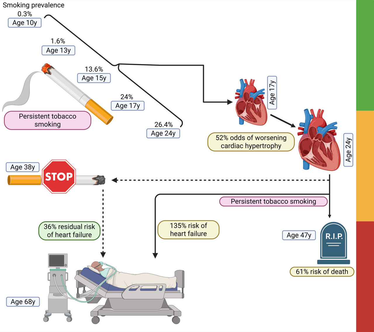 Tobacco smoking in childhood associated with premature cardiac damage ...