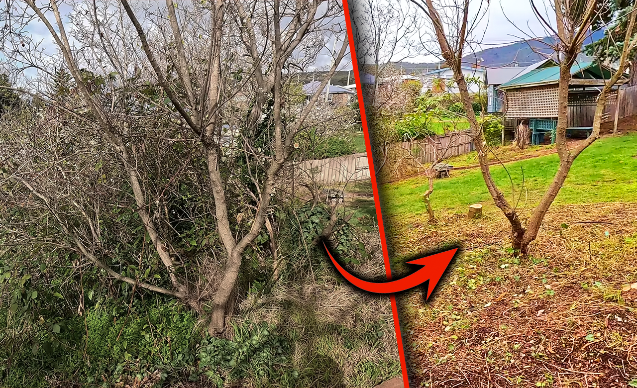 A satisfying yard cleanup