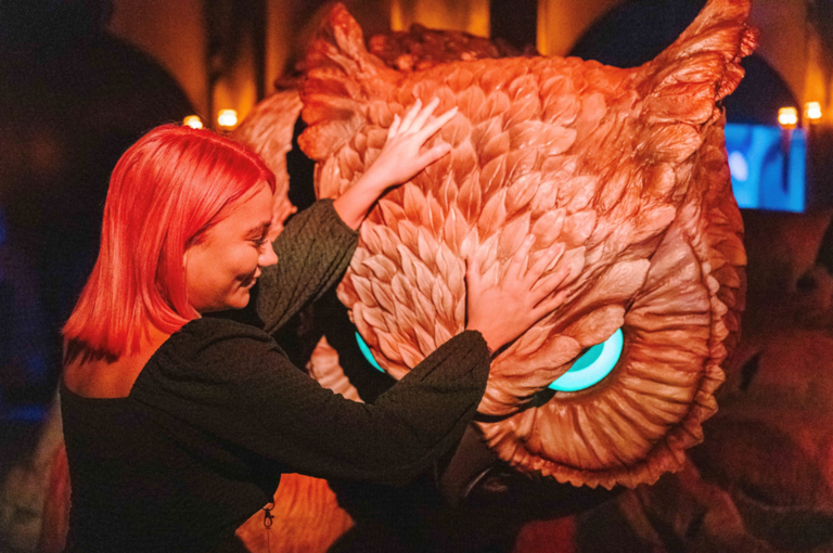 Top 10 things to do this weekend in Plano, Frisco and beyond