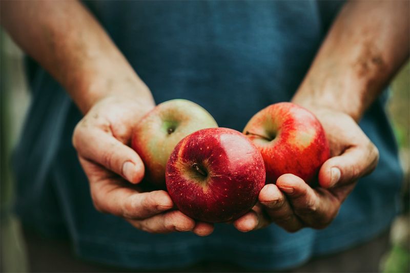 What Happens When You Eat An Apple Before Bed