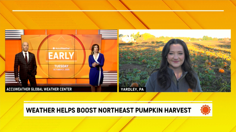 Weather helps boost pumpkin harvest