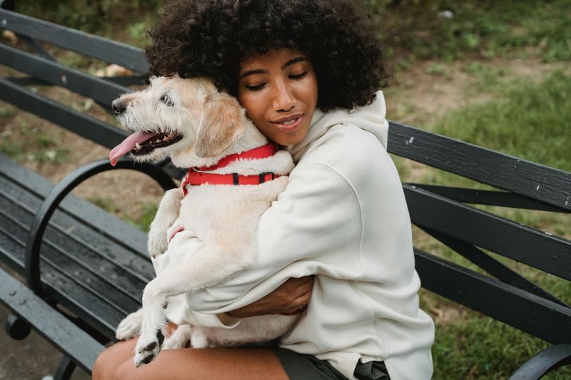7 Things You Do That Bother Your Dog And 6 That Build The Bond